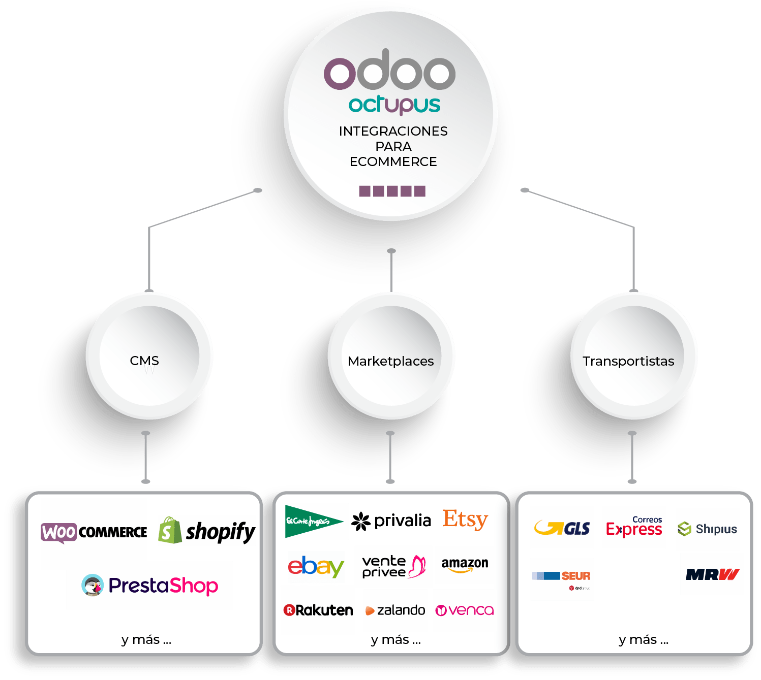 Octupus - Crece tu negocio con Odoo, el ERP ideal para PYMES