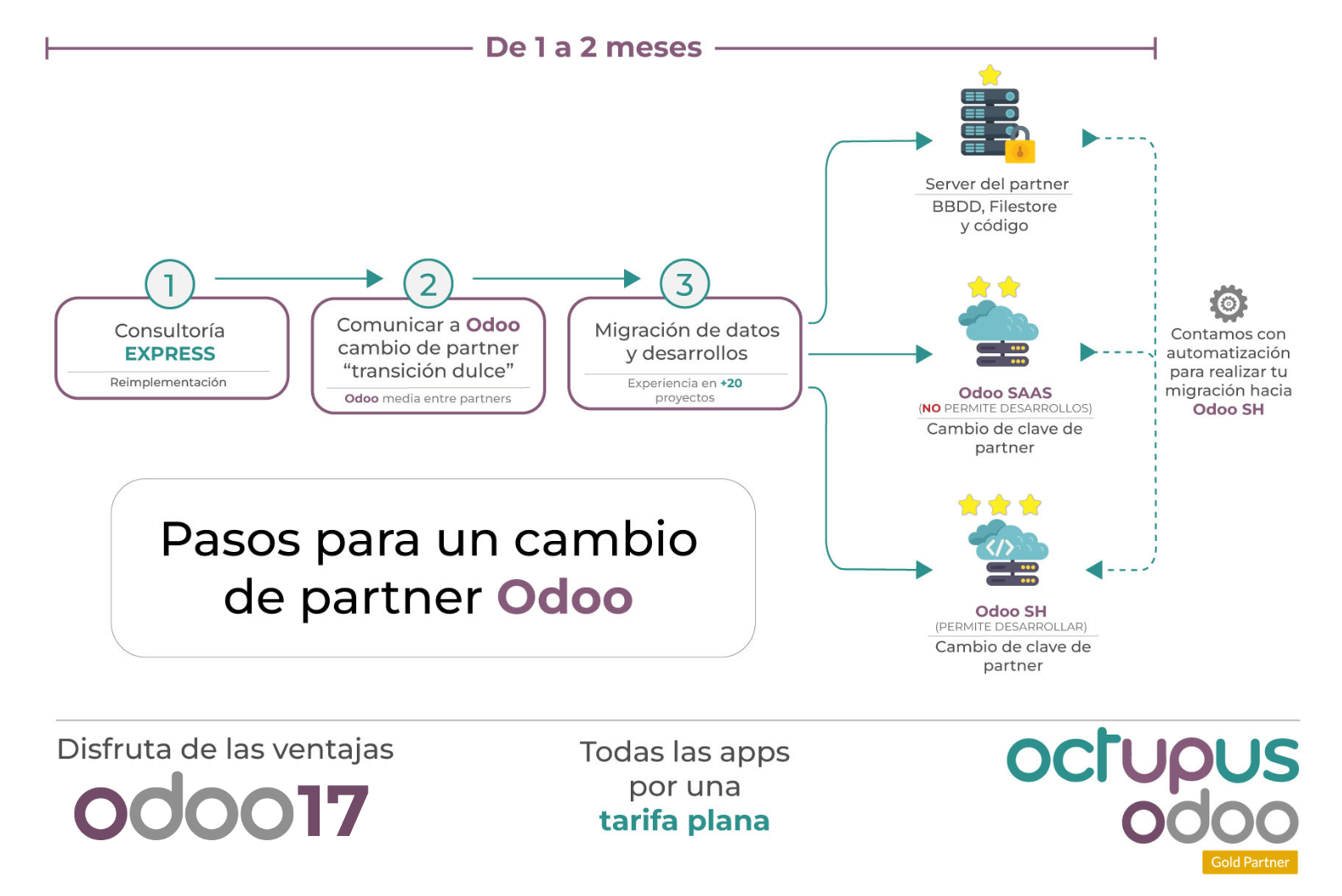Cámbiate de partner y actualiza tu Odoo - Octupus